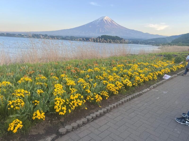 Mount Fuji Private Tour With English Speaking Driver/Guide - Scenic Drives and Hiking Trails