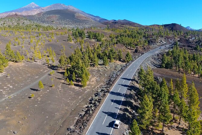 Mount Teide Quad Day Trip in Tenerife National Park - Health and Safety Requirements