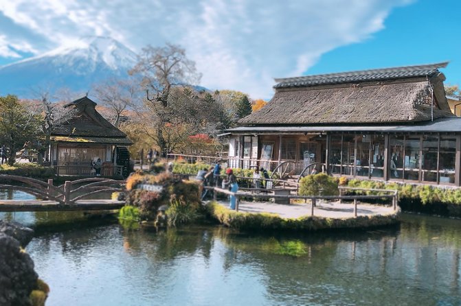 Mt Fuji and Gotemba Outlet Tour From Tokyo - Accessibility and Participation