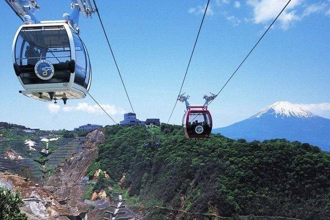 Mt. Fuji and Hakone Day Trip From Tokyo With Bullet Train Option - Tour Inclusions