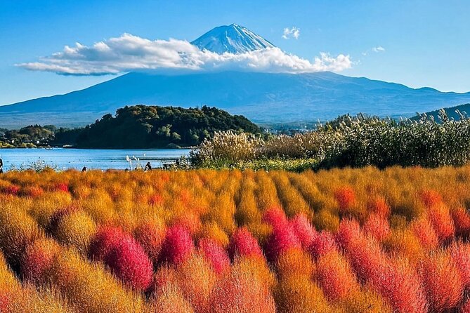 Mt Fuji and Hakone Private Day Tour With English Speaking Driver - Accessibility and Additional Info