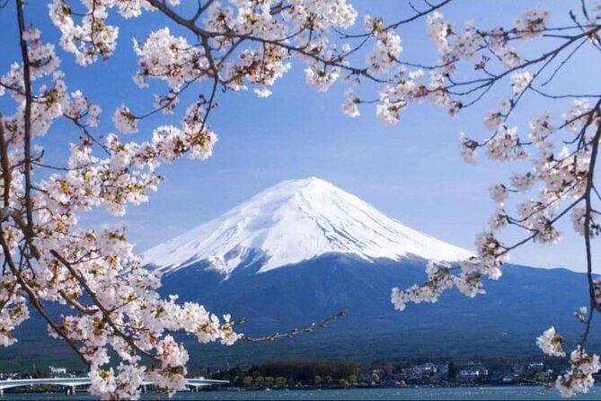 Mt. Fuji and Lake Kawaguchi Day Trip With Guide - Health and Accessibility Information