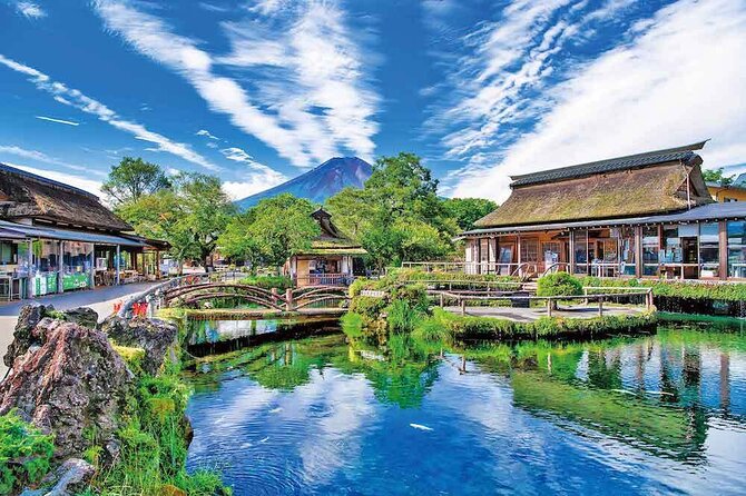 Mt. Fuji and Lake Kawaguchi Scenic 1-Day Bus Tour From Tokyo - Participant Requirements