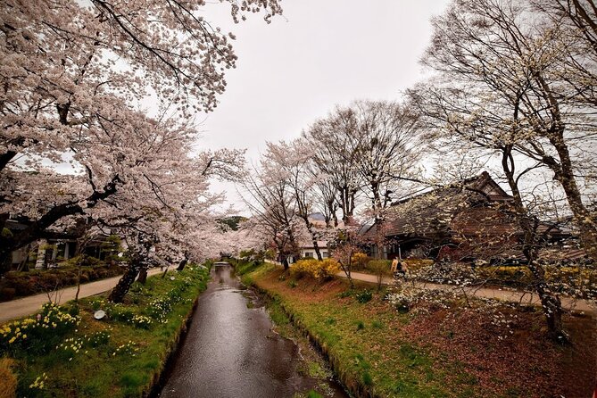 Mt Fuji Day Trip From Tokyo by Car With Photographer Guide - Booking Information