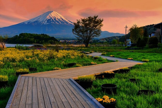 Mt. Fuji Five Lakes Area Private Tour With Licensed Guide(Kawaguchiko Area Dep) - Pricing and Booking Information