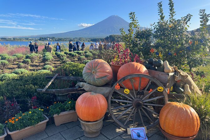 Mt. Fuji & Hakone Cherry Blossom Private One Day Tour - Booking Confirmation