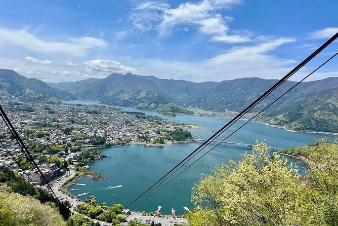 Mt Fuji & Hakone Private Day Tour W/ English Speaking Guide - Admission Fees and Inclusions