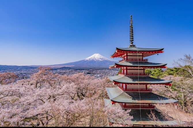 Mt.Fuji Hakone Private Tour With English Speaking Chauffeur - Meeting and Pickup