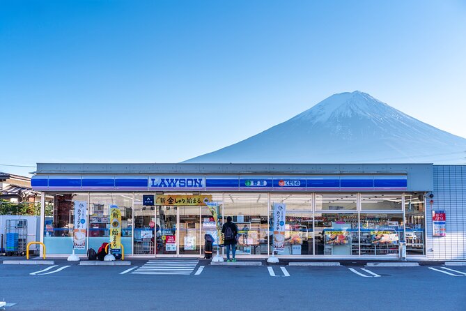 Mt Fuji Kawaguchi/Hakone/Yokohama Tokyo Customize Private Car - Tour Features and Accessibility