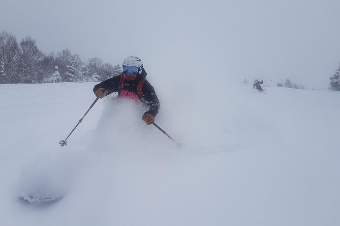 Nagano Ski Buffet - Transportation and Logistics