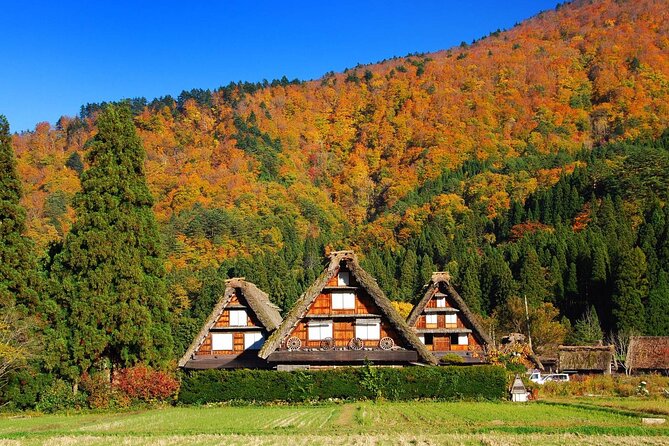 Nagoya to Hida Takayama, Shirakawa-go Gassho Village Day Tour - Additional Information