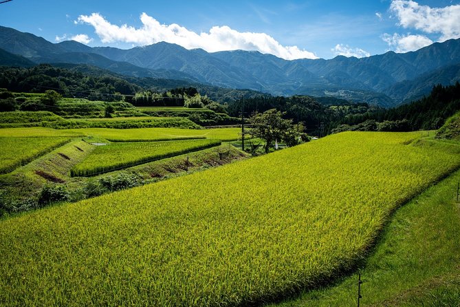 Nakasendo Self-Guided Walking Tour 2 Days - Experience and Activities