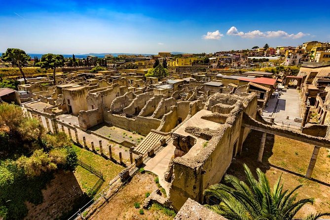 Naples to Pompeii Direct Transfer (Or Viceversa) - Accessibility and Restrictions