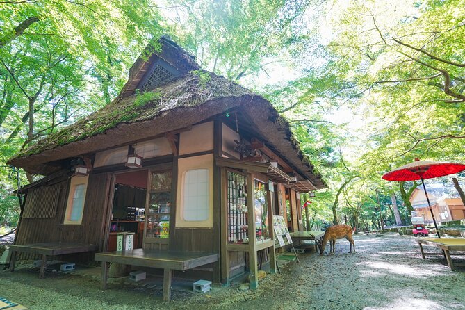 Nara Half Day Trip Walking Tour - Exploring Todaiji Temple and Kasuga Taisha Shrine