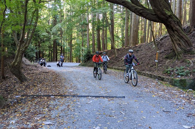 Nara - Heart of Nature Bike Tour - Local Crafts and Japanese History