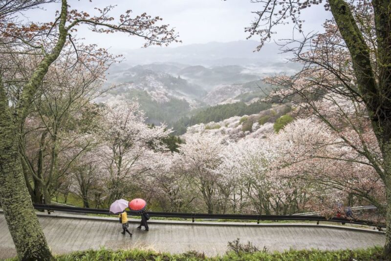 Nara Like a Local: Customized Guided Tour - Discovering Naras Hidden Gems