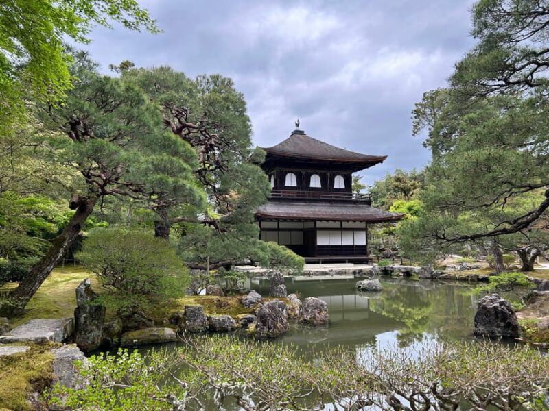Nara Optional:Kyoto Private Car Tour With Japanese Navigator - Tour Experience