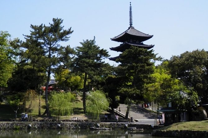 Nara Private Tour by Public Transportation From Osaka - Booking Information