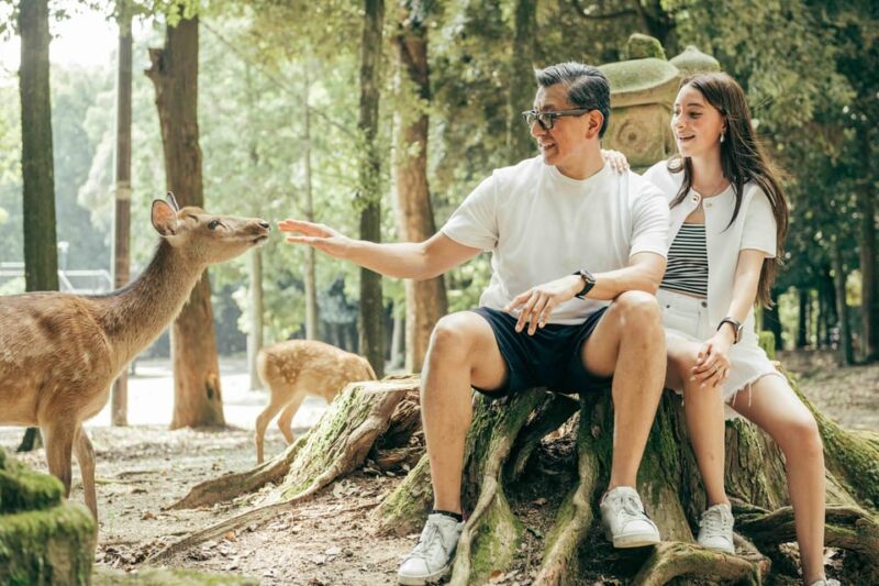Nara Serenity: Memories Among Deer and Temples - Discovering Kasuga Shrine