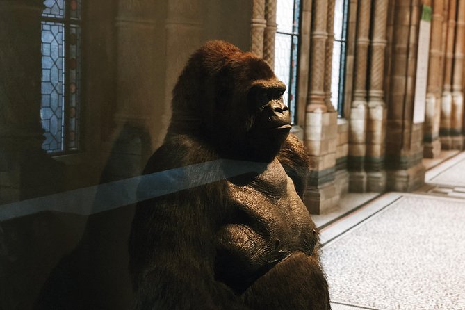 Natural History Museum London - Exclusive Guided Museum Tour - Customer Ratings and Feedback
