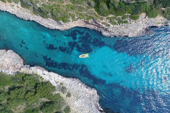 Natural Park Boat Tour and Snorkeling in Mallorca - Meeting Point and Logistics