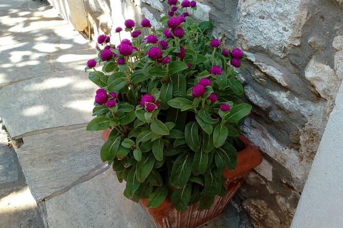 Naxos: Highlights of Naxos Day Tour - Discovering the Fishing Village of Apollonas