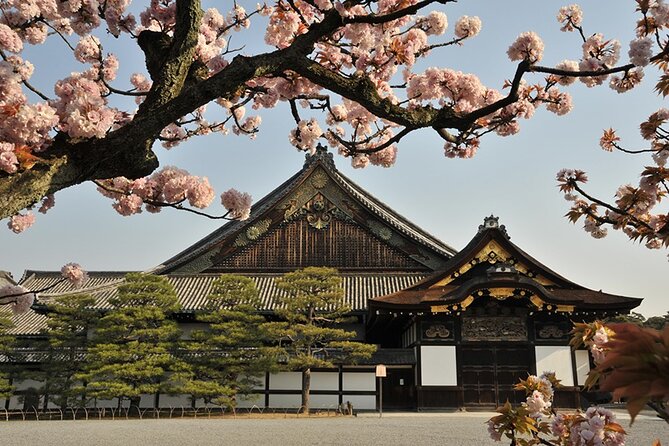 Nijo Castle Samurai Culture Experience With a Fun Expert Guide - Gaining Insights From an Expert Guide