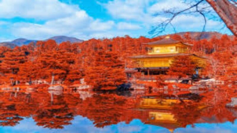 Nikko Private Tour With English Speaking Driver - Cultural and Historical Significance of Nikko