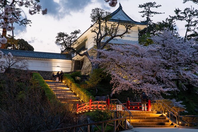 Ninja, Samurai, Odawara Castle Experience - Visiting Odawara Castle