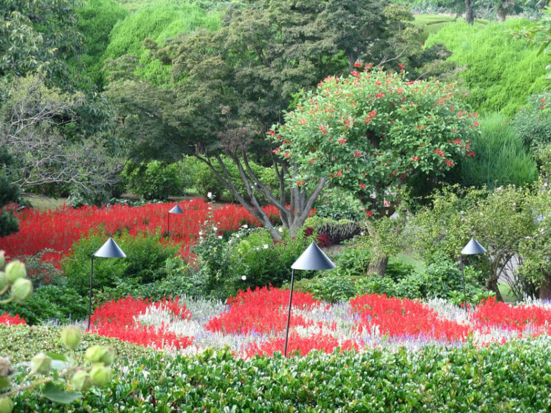 Nokonoshima Island Park: Garden Tour & Wagyu BBQ Lunch - Highlights and Activities