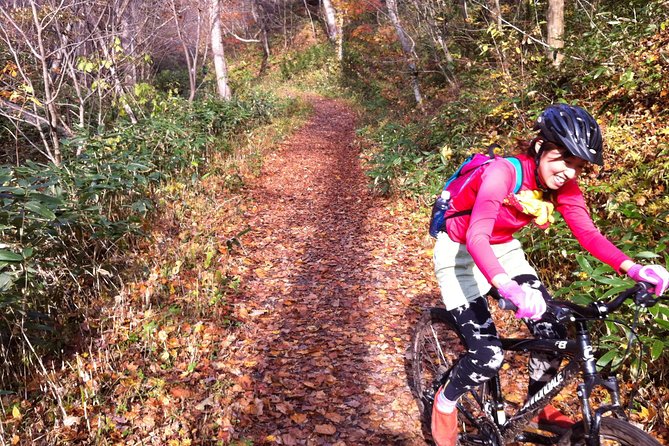 Nopporo Forest Mountain Bike Tour From Sapporo, Presenting a Retro Cycle Cap - Inclusions and Logistics