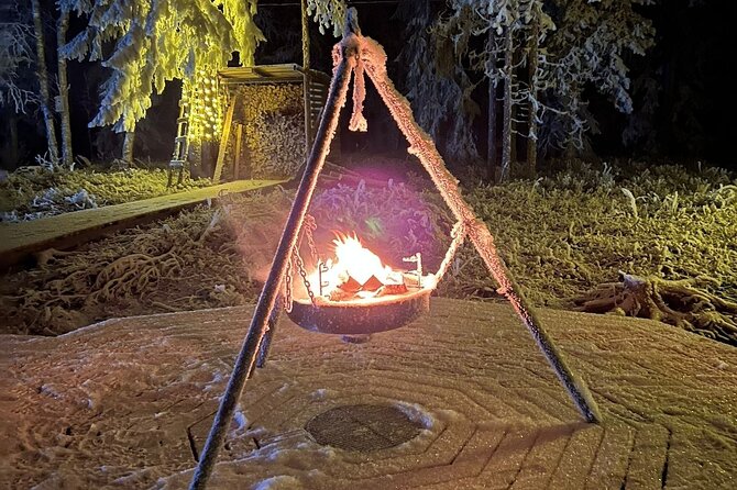 Northern Lights Dinner in a Glass Igloo - Pricing and Cancellation