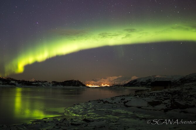 Northern Lights Safari From Tromso - Refreshments and Snacks