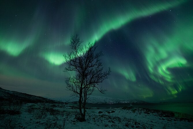 Northern Lights Tour & Arctic Experience - More Than Just a Chase - Capturing the Moment: Photography Opportunities
