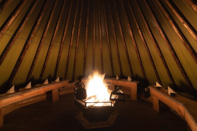 Northern Lights Tour to Lake Inari From Ivalo, Reindeers & Dinner - Dietary Considerations and Accessibility