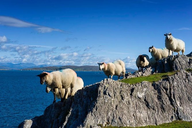 Off the Beaten Path Private Tour of Ring of Kerry - Booking Information