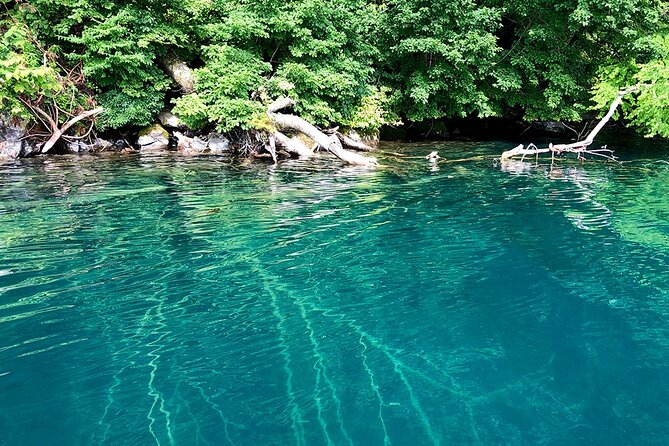 Oirase Gorge and Lake Towada Day Hike With Government-Licensed Guide - Health and Accessibility Information