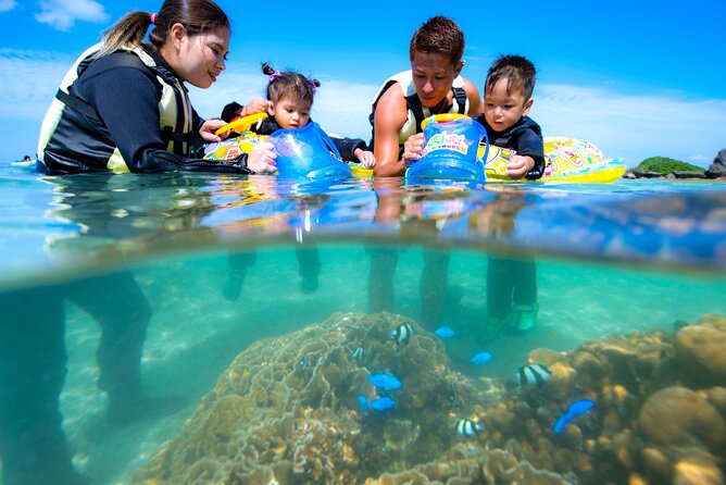 OK From 2 Years Old! / Sea Picnic & Snorkel - Participation Requirements