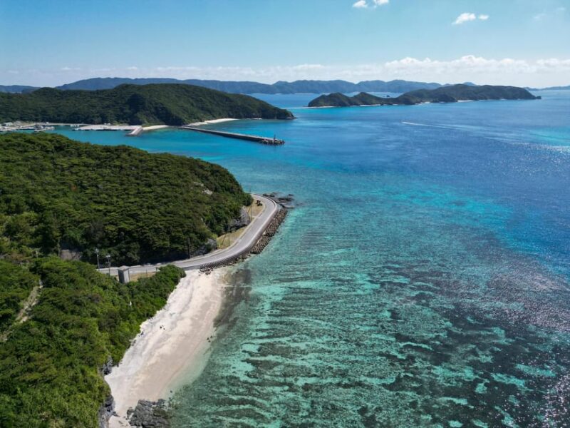 Okinawa Explorer: Shrines, Markets & Vibrant Streets - Exploring the Lively HARBOR NAHA