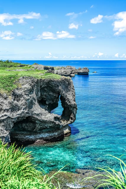 Okinawa Full-Day Tour With Daily Chauffeur - Churaumi Aquarium