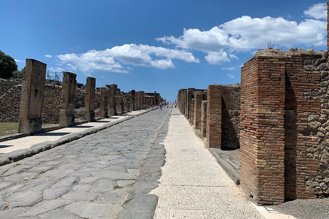Once Upon a Time Pompeii 2 and a Half Hour Tour - Tour Pricing and Ticket Information