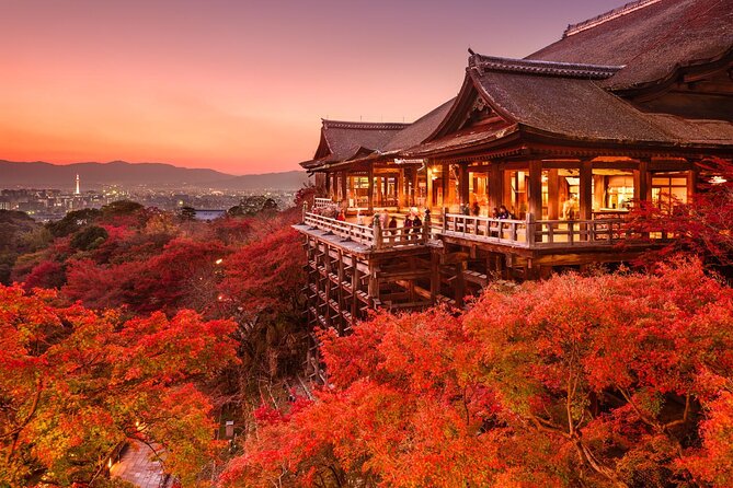 One Day Customized Self-Guided Tour in Kyoto - Accessibility and Customer Support