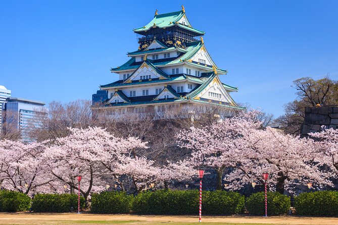 Osaka and Kansai Private Customized Day Tour - Issues and Recommendations