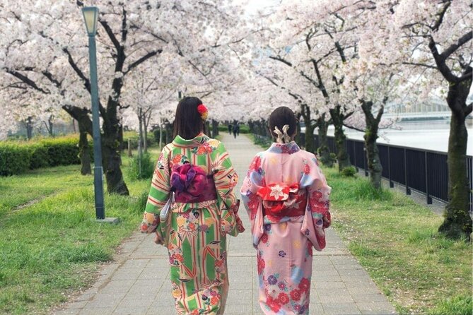 Osaka Cherry Blossom Tour With a Local: 100% Personalized Private - Meeting and Pickup