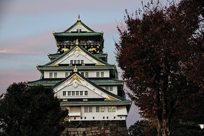 Osaka Like a Local: Customized Private Tour - Experiencing Local Culture