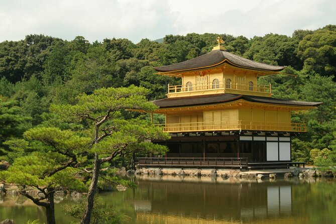 Osaka, Nara and Kyoto Day Trip With English Speaking Driver - Accessibility and Participation