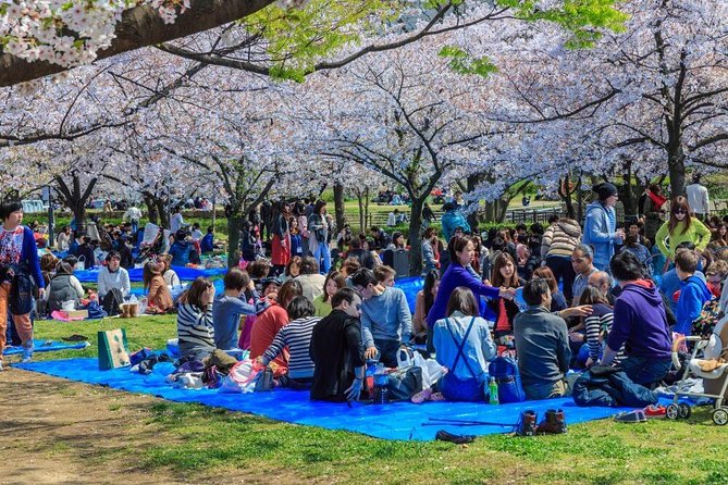 Osaka Spring Daytime (Cherry Blossom) Food Tour - Meeting and End Points