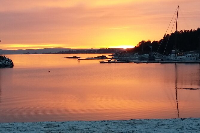 Oslo Winter Highlights Bike Tour - Accessibility and Requirements