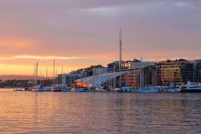 Oslofjord Sightseeing - Bygdoy and Fram Museum