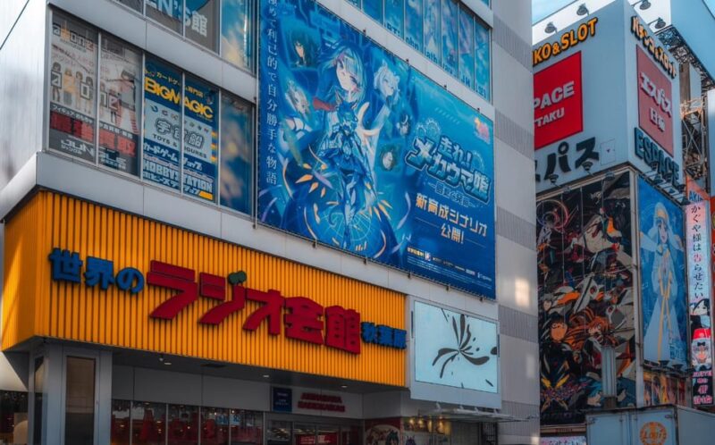 Otaku Tokyo Akihabara and Nakano Tour - Akihabara Guided Tour